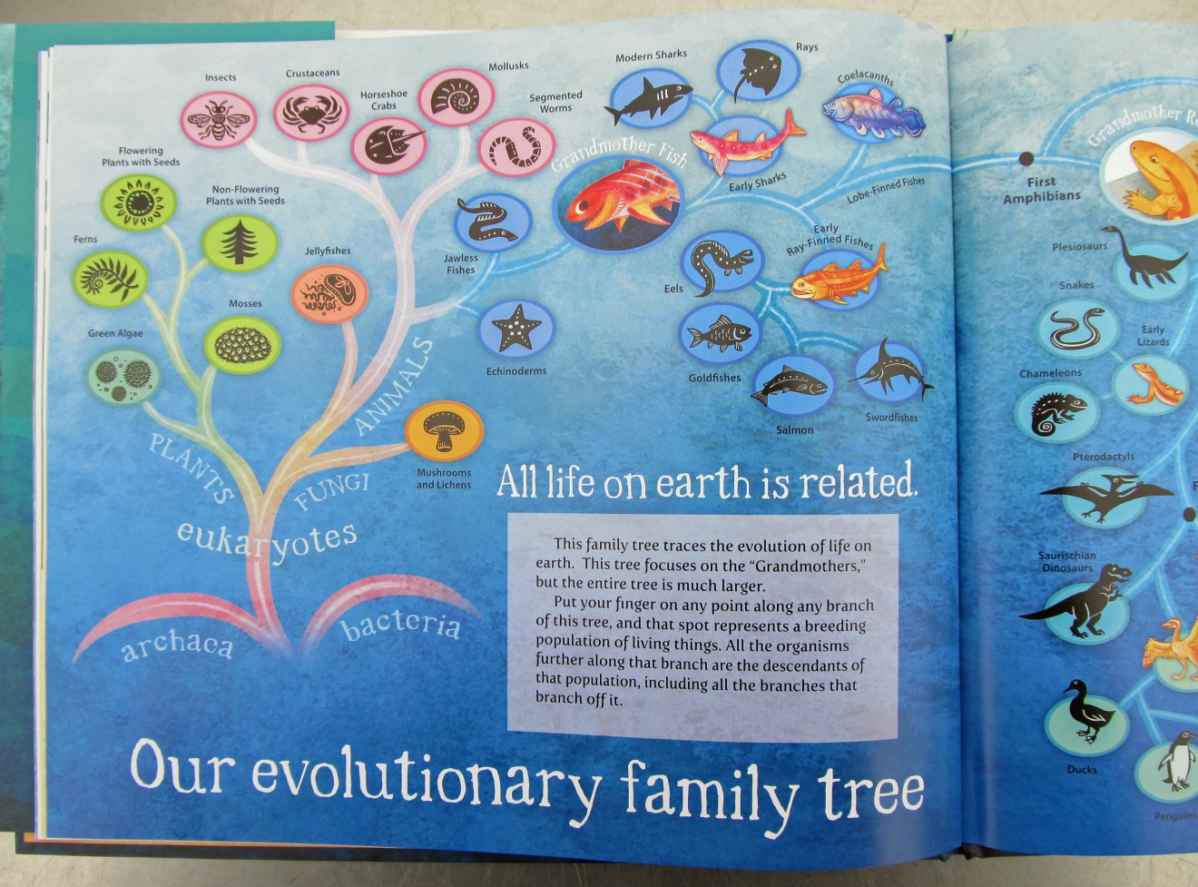 Children’s Books About Evolution – awkward botany