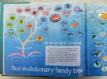 Children’s Books About Evolution – awkward botany