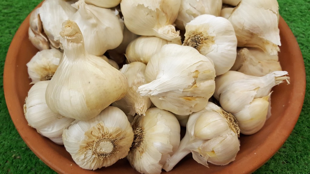 White Rot and the Quarantine Zone, revisited – awkward botany