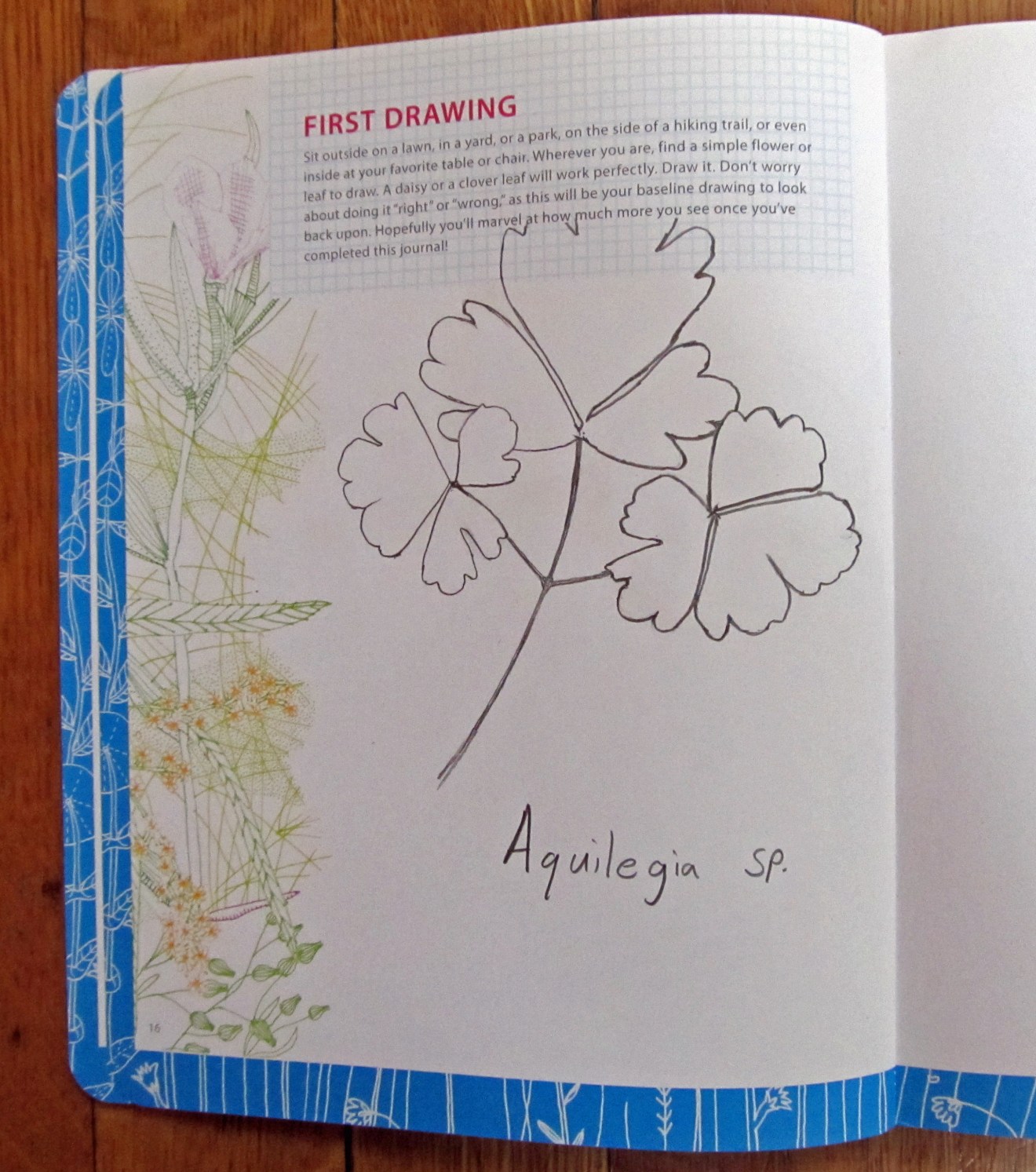 grass – awkward botany