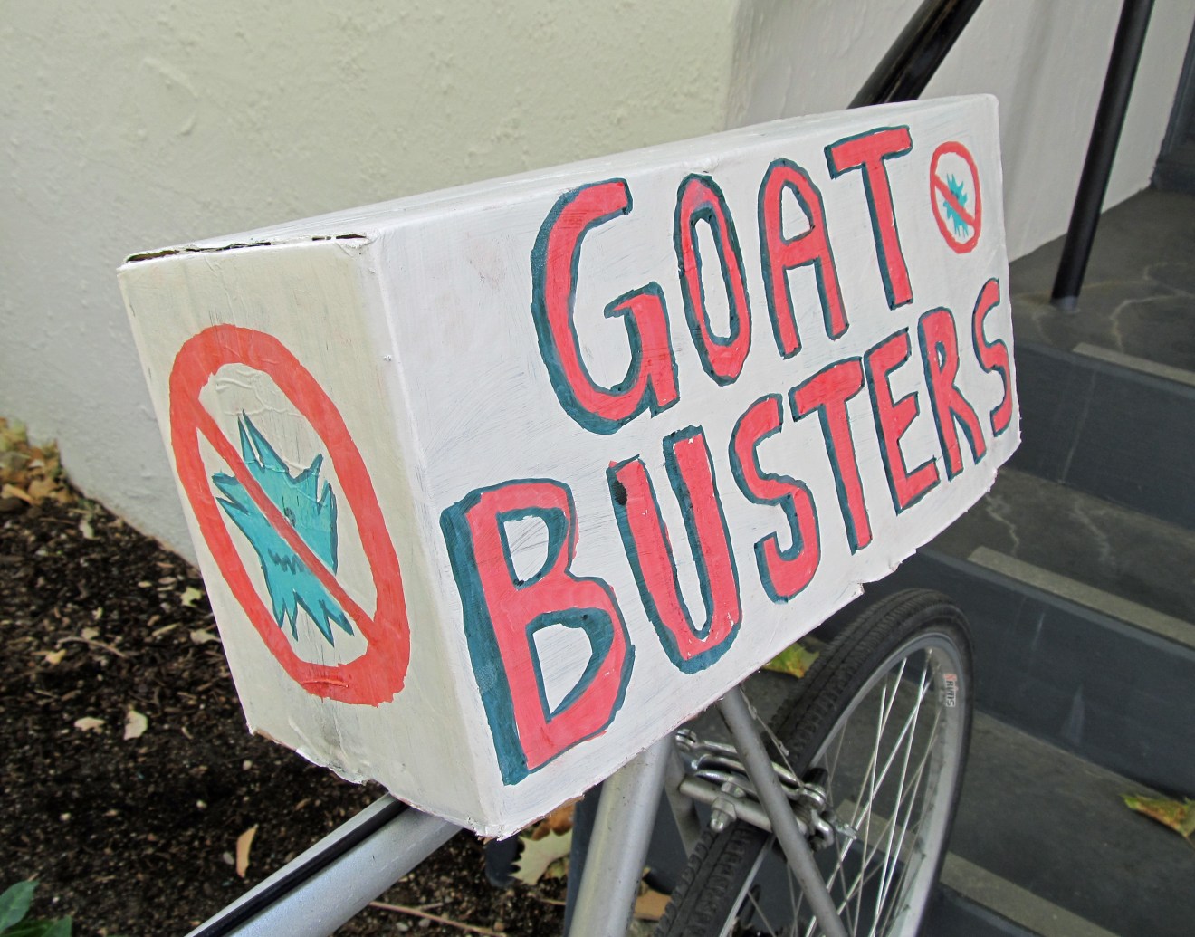 summer – awkward botany