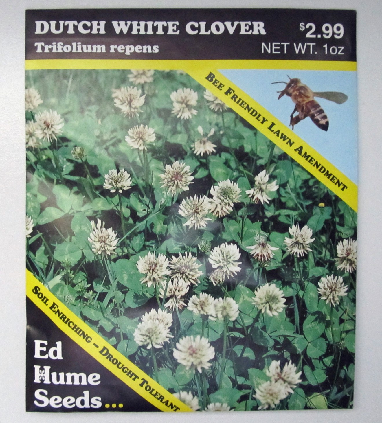 Eating Weeds: Clovers – awkward botany