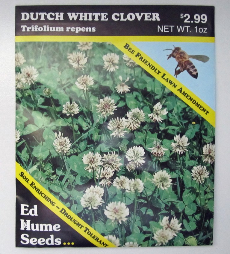 Eating Weeds: Clovers – awkward botany