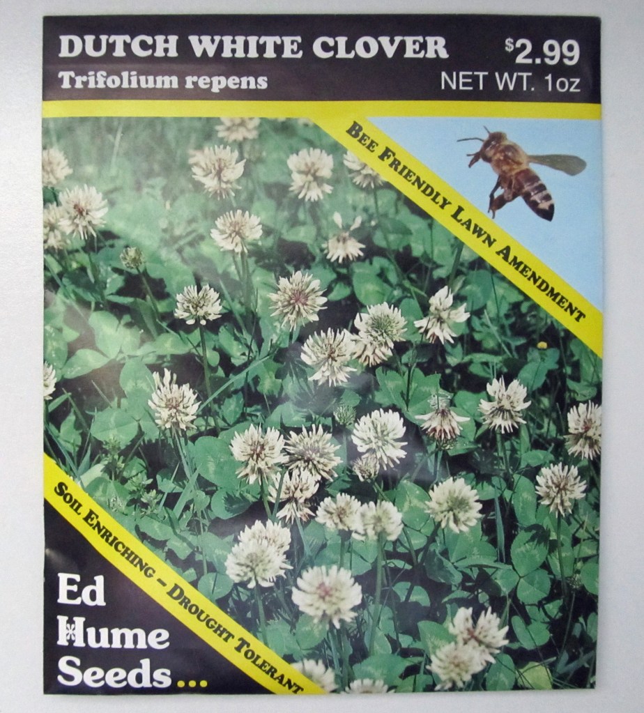 Eating Weeds: Clovers – awkward botany