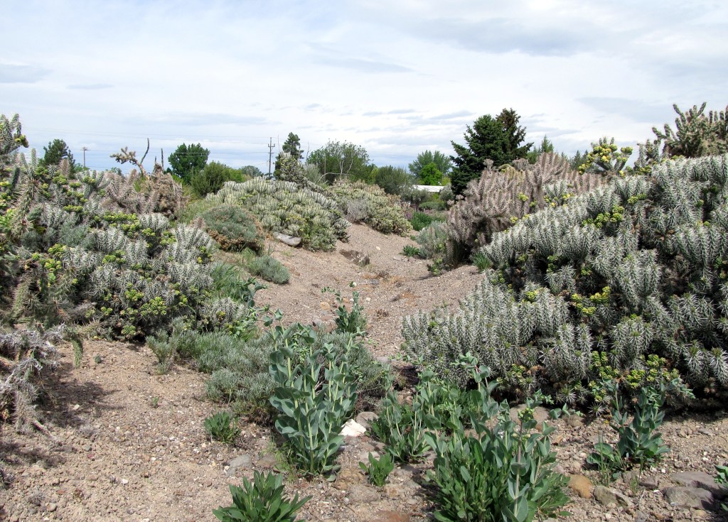 Field Trip: Orton Botanical Garden – awkward botany