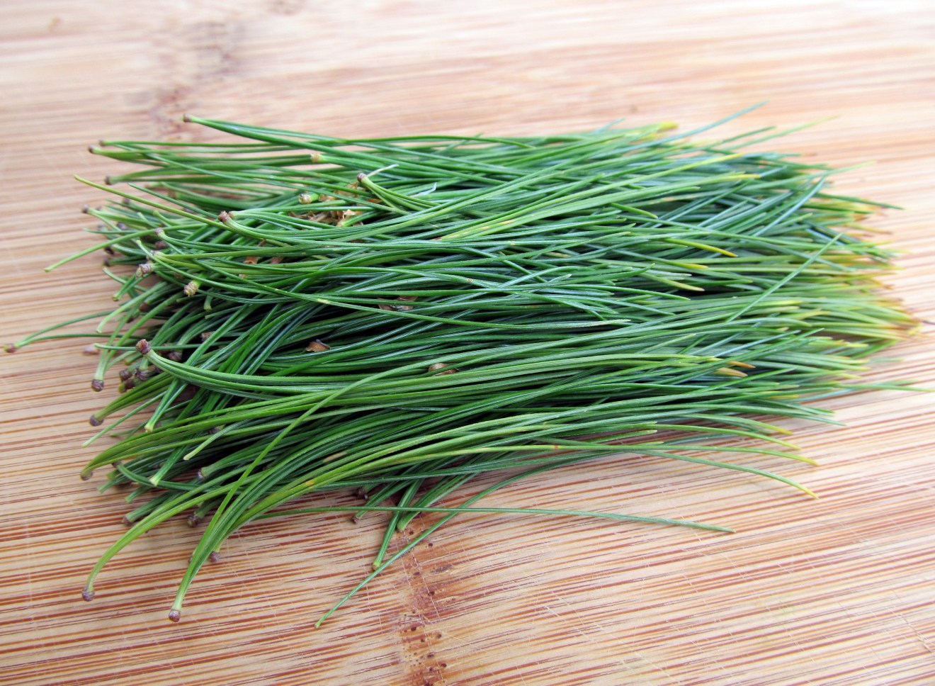 Tea Time: Pine Needle Teas – awkward botany
