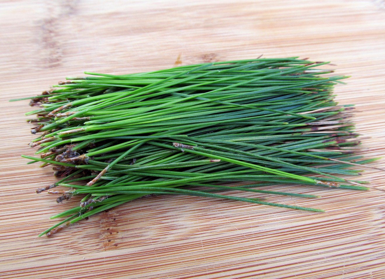 Tea Time: Pine Needle Teas – awkward botany