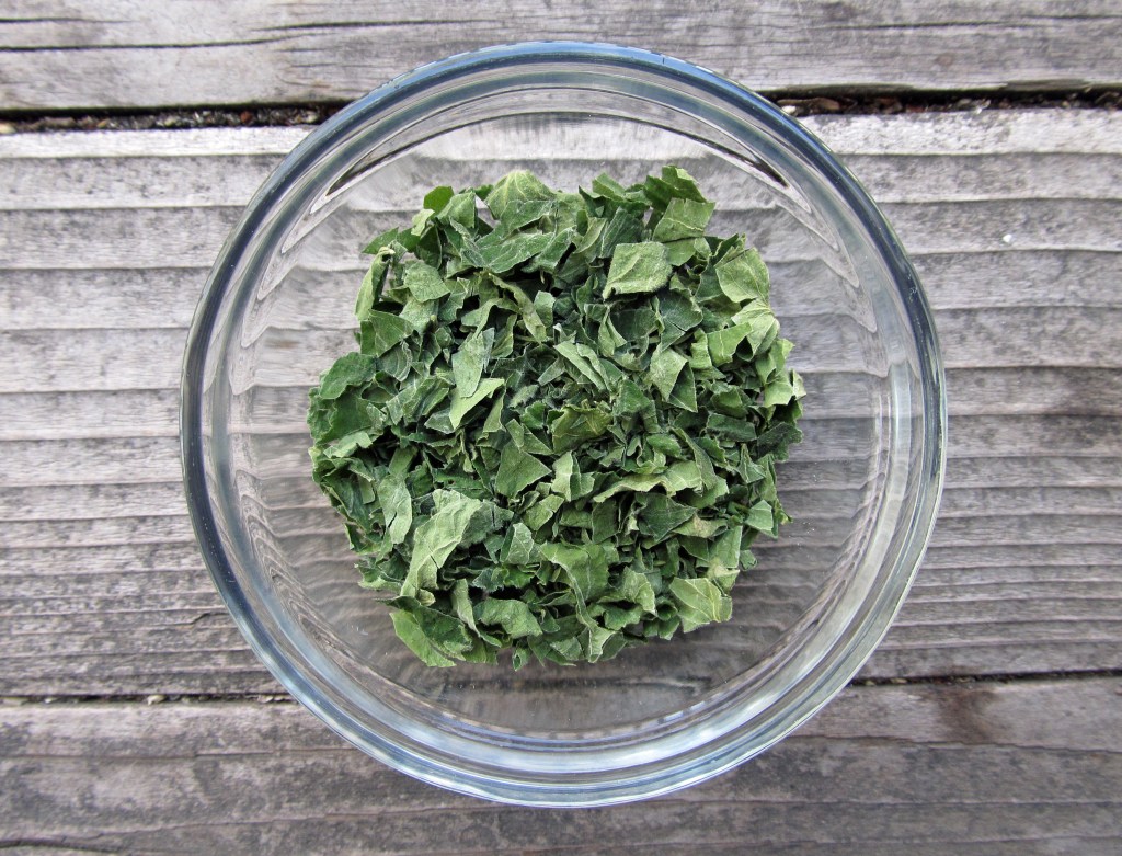 Tea Time: Violet Leaf Tea – awkward botany