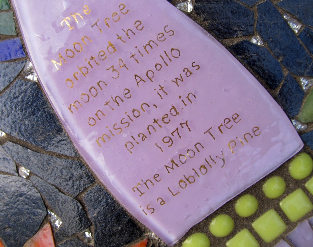 Revisiting the Moon Tree – awkward botany