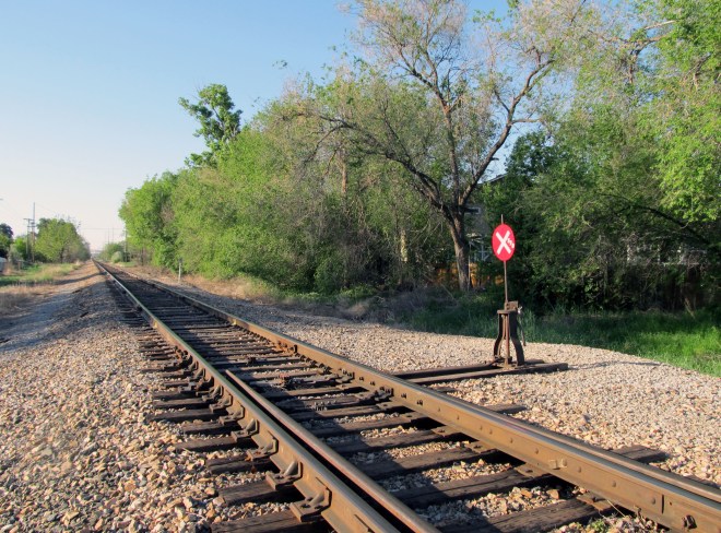 Weeds of Boise: Railroad Tracks Between Kootenai Street and Overland ...