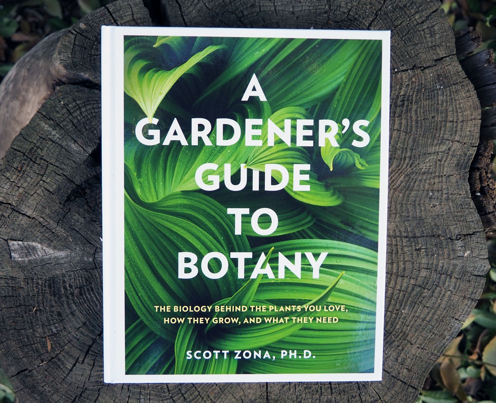 Book Review: A Gardener’s Guide to Botany – awkward botany